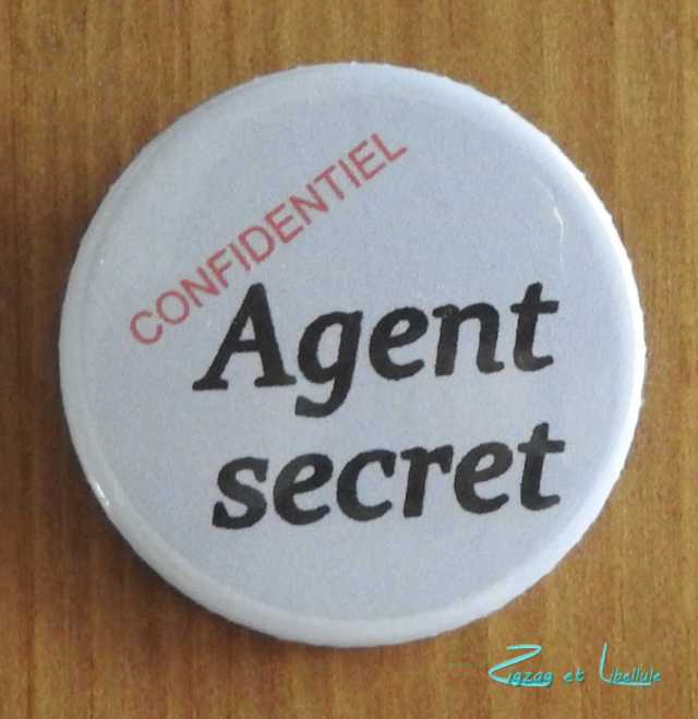 Agents secrets en action ! | Zigzag et Libellule pétille